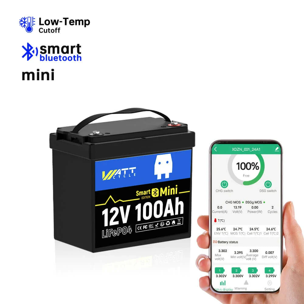 WattCycle 12V 100Ah Mini LiFePO4 Battery - Bluetooth – Wattcycle-Europe